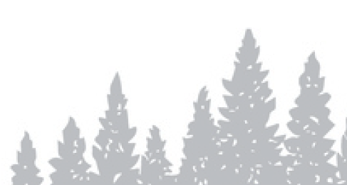 Guide to Child Protective Services (CPS) and dependency cases ...